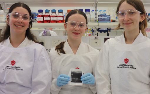 Academic Excellence Program